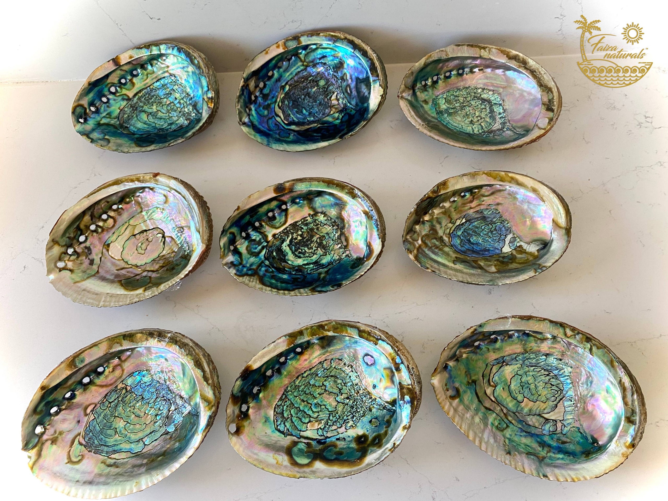 Large Abalone Shells | Antique Moon Emporium - for all of your ...